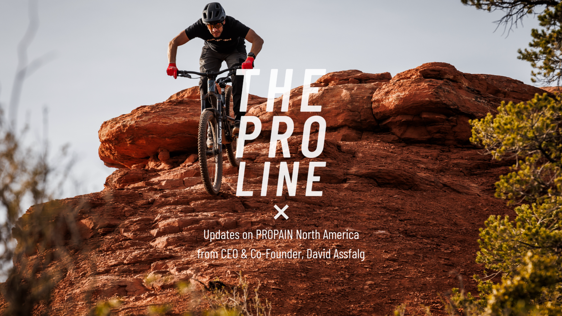 The PRO Line | PROPAIN Bicycles North America